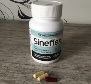 Testamos alguns suplementos da Power Supplements